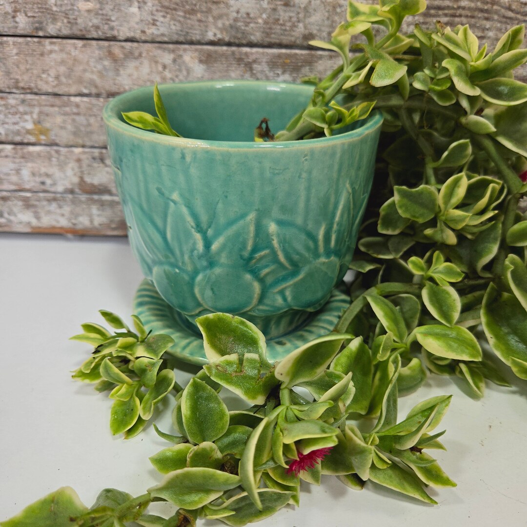 Mccoy Sand Dollar Planter Attached Saucer, Vintage Soft Turquoise Green ...