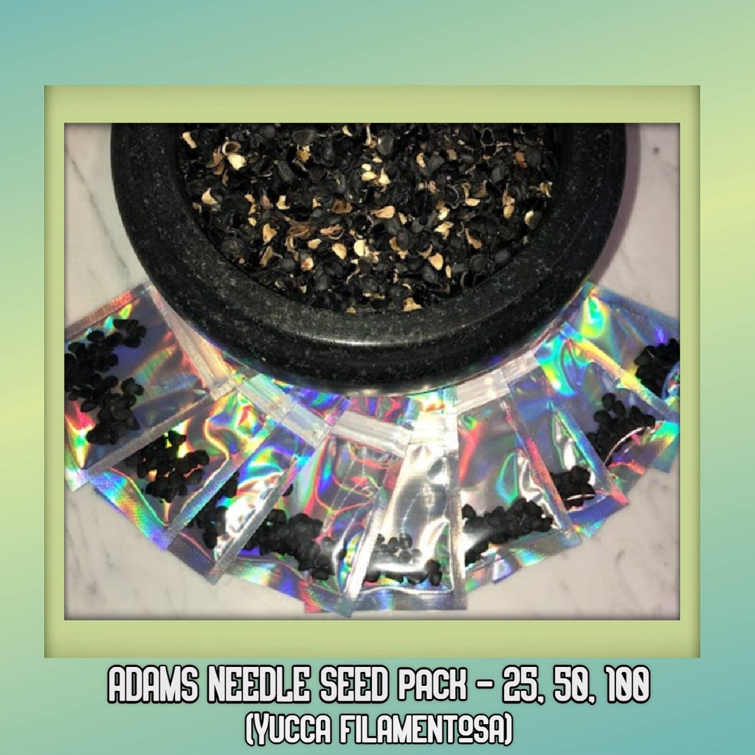 Adam's Needle Seeds Yucca Filamentosa Yucca Seeds - Etsy