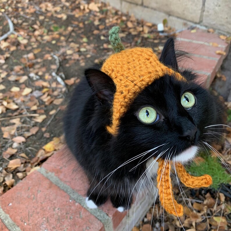Pumpkin Cat Hat Halloween/thanksgiving Cat Costume, Cat Outfit, Cat ...