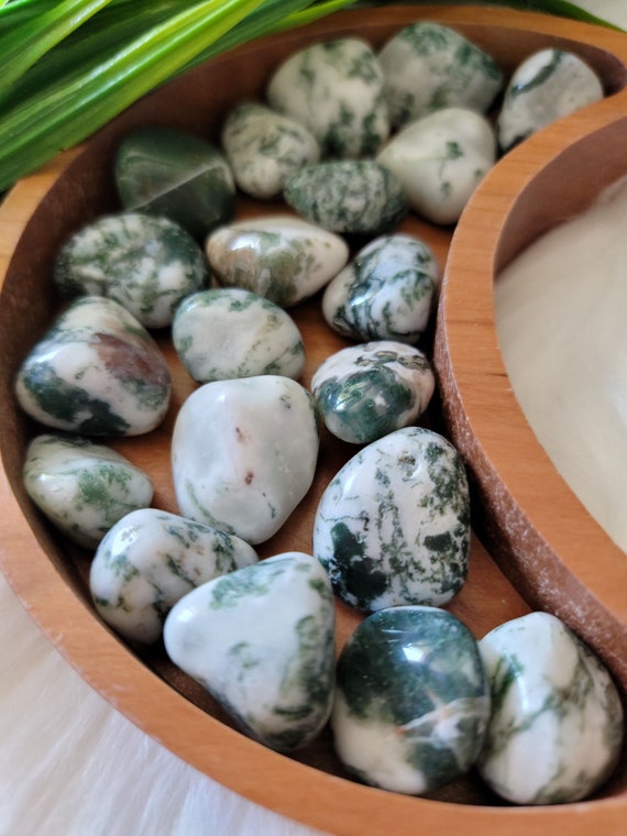 Tree Agate Tumbled Stone Tree Agate Stone Tree Agate Carry - Etsy