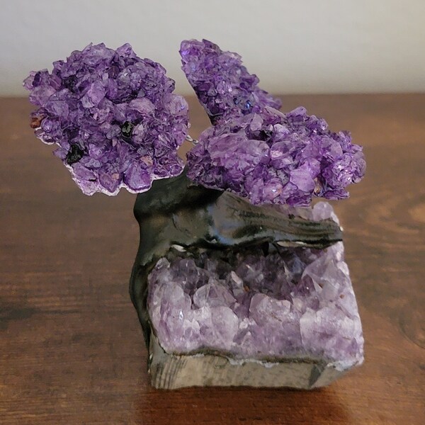 Amethyst Money Tree - Etsy