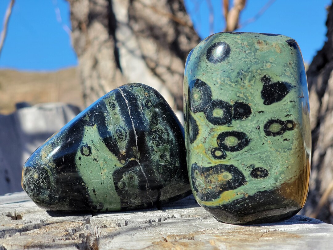 Kambaba Jasper Freeform, Kambaba Jasper Palm Stone, Tumbled Kambaba ...