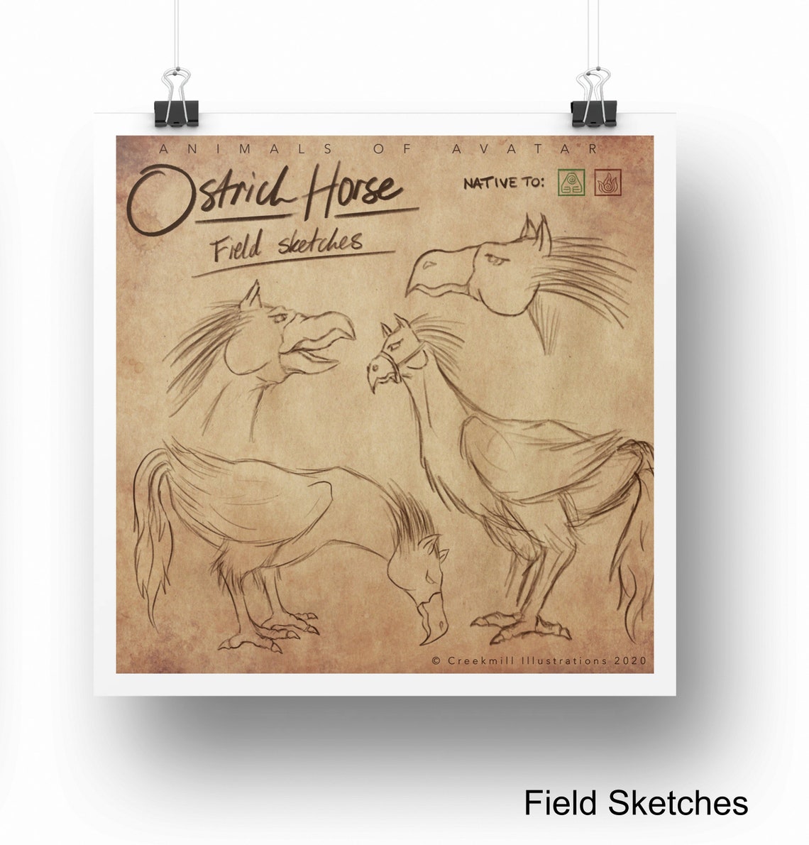 Ostrich Horse Anatomy and Field Guide / Avatar the Last - Etsy
