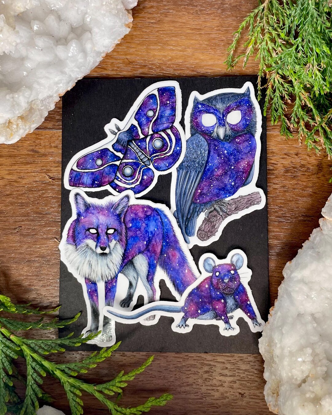 Nocturnal Creatures Sticker Set – Choose 4 Custom Stickers – Ink ...