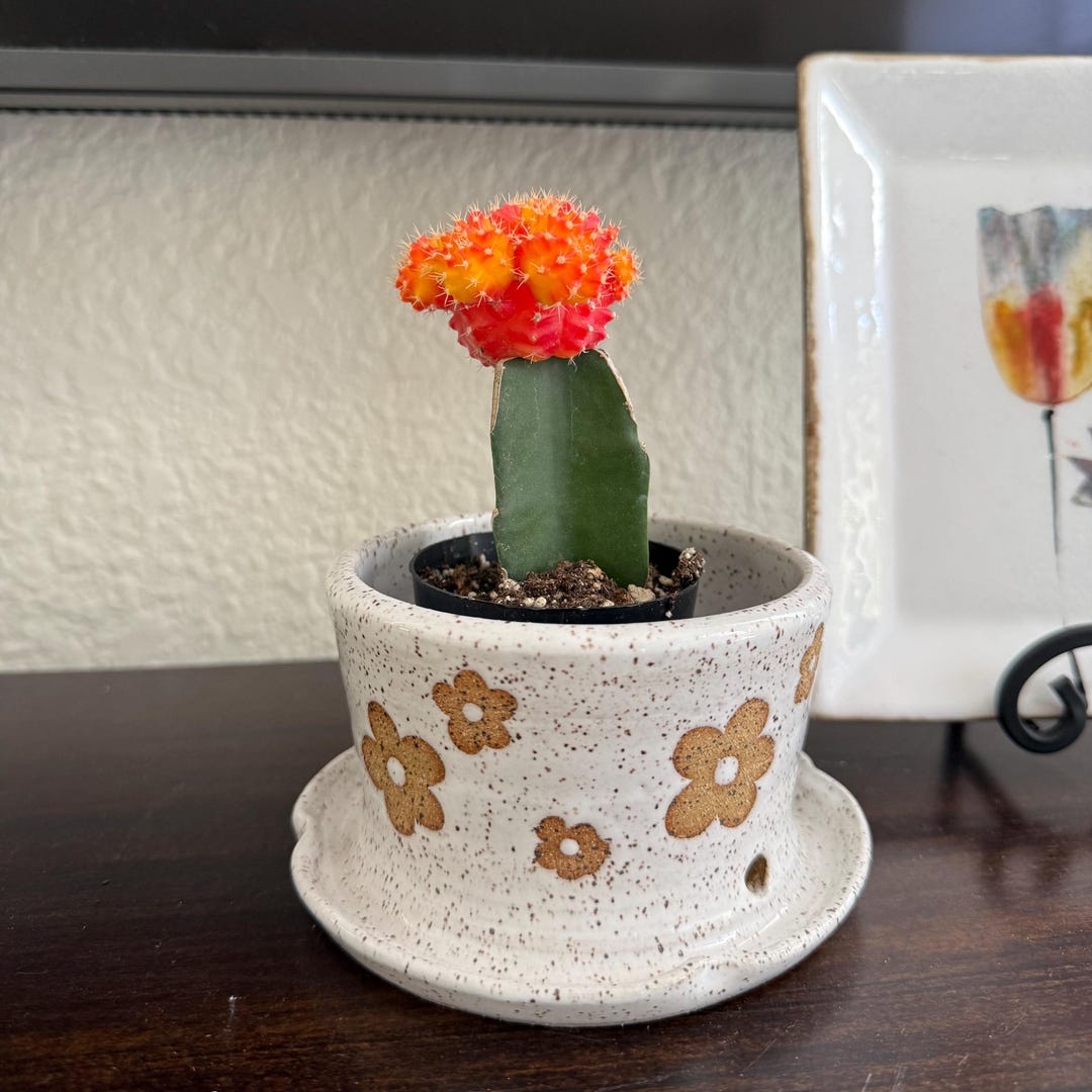 Ceramic Daisy Succulent Pot: Modern Home Decor - Etsy