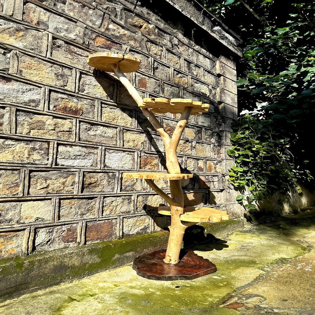 Cat Tree Natural Wood Tall Cat Tree Tower Cool Cat Tree Furniture