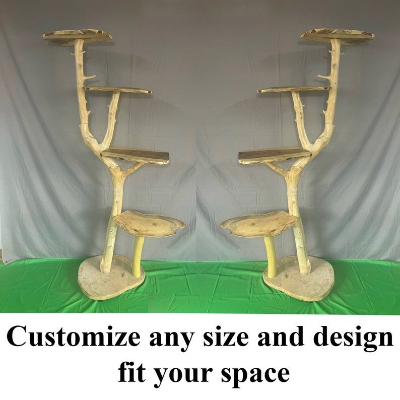 Driftwood Cat Tree Tower Modern Cat Climbing Tree Branch Shelf Natural ...