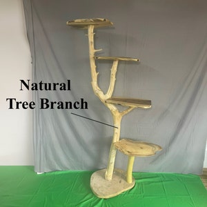 Driftwood Cat Tree Tower Modern Cat Climbing Tree Branch Shelf Natural ...