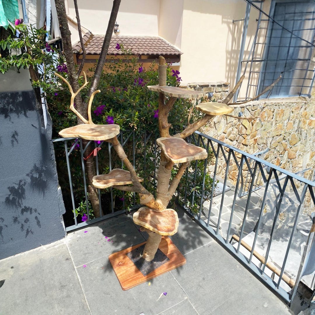 Cat Tree Tower Modern Wood Cat Tree Tower Driftwood Cat Tree Branches ...