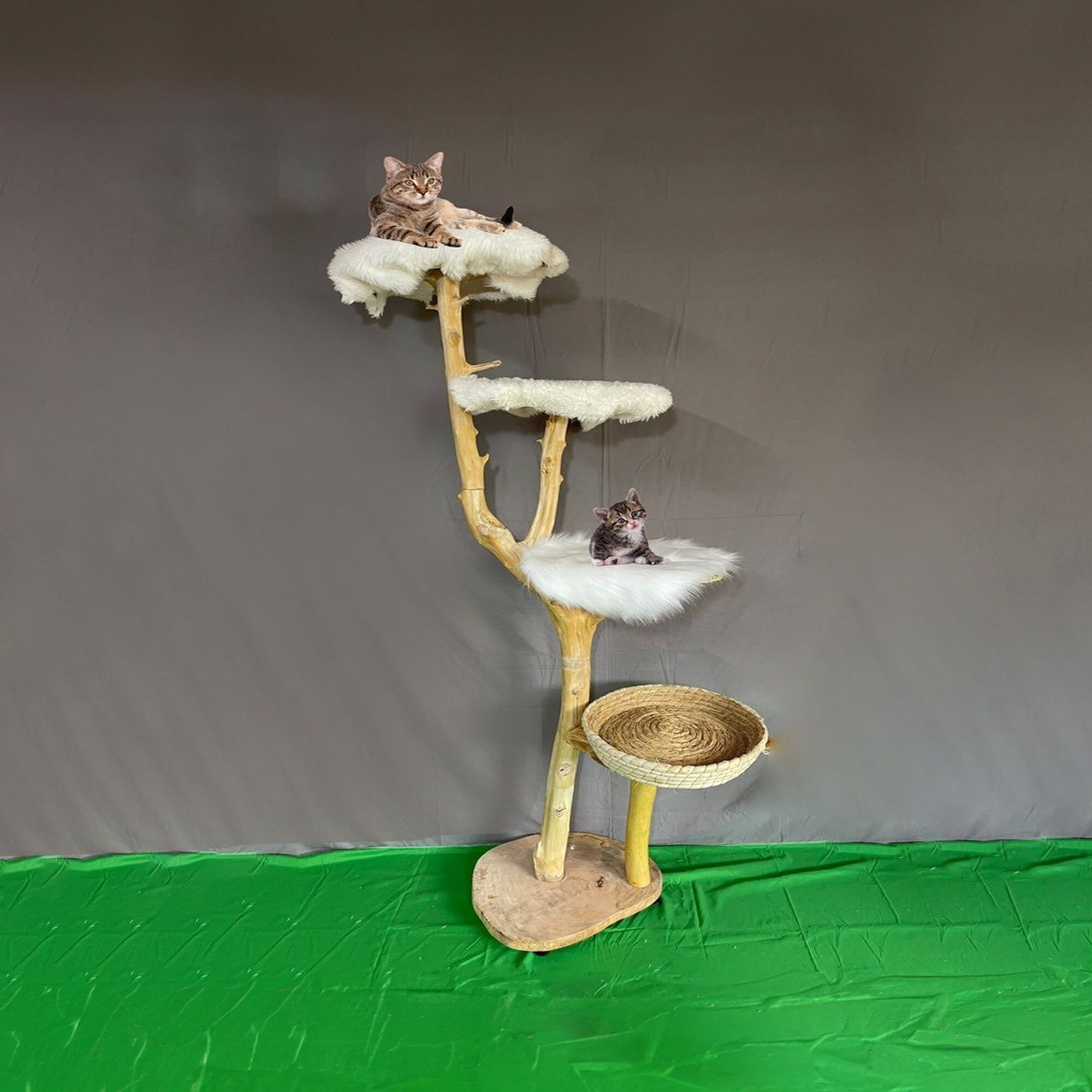 Driftwood Cat Tree Tower Modern Cat Climbing Tree Branch Shelf Natural ...