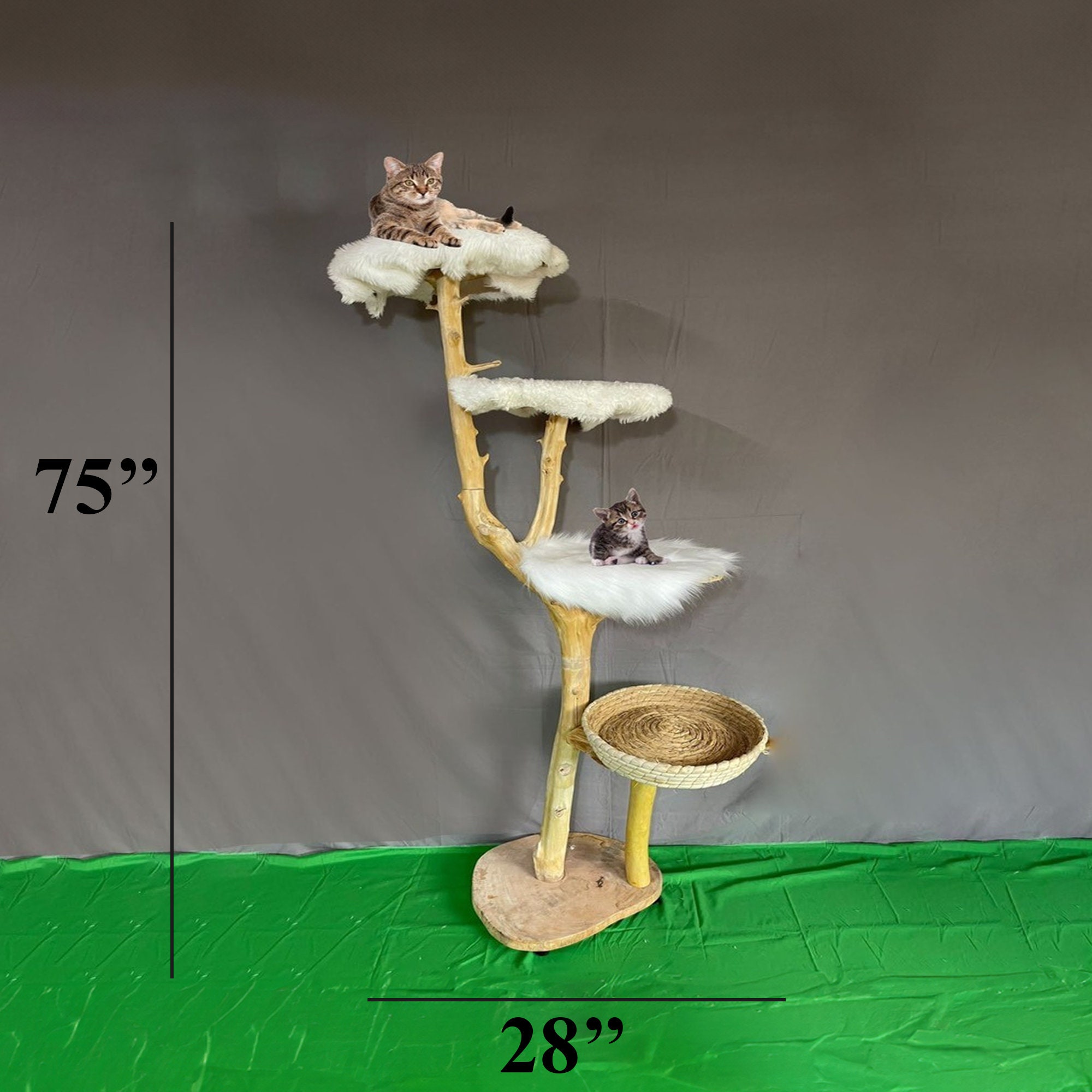 Driftwood Cat Tree Tower Modern Cat Climbing Tree Branch Shelf Natural ...