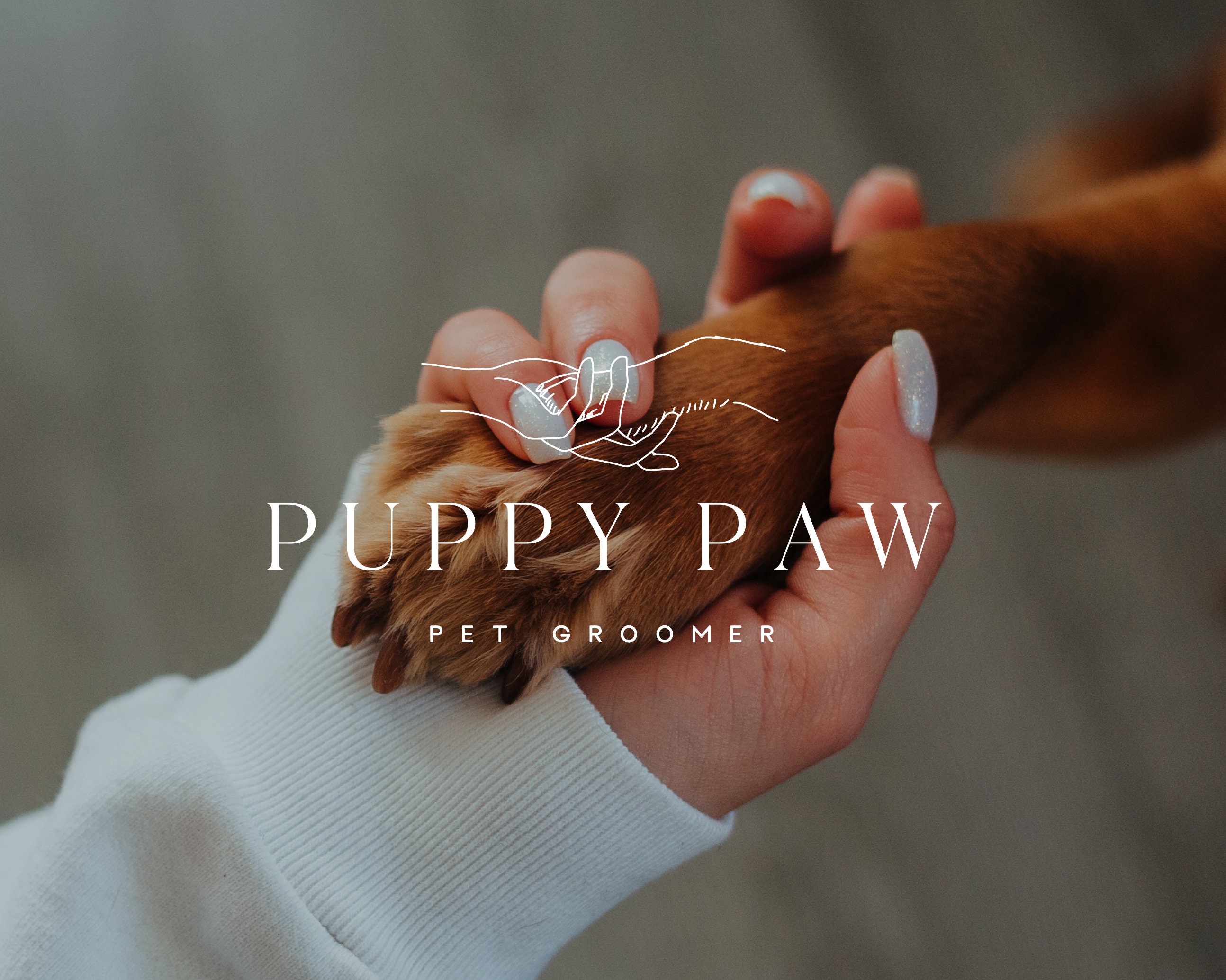 Hand and Paw Logo Boho Animal Logo Pet Store Logo Photography Logo Hand ...