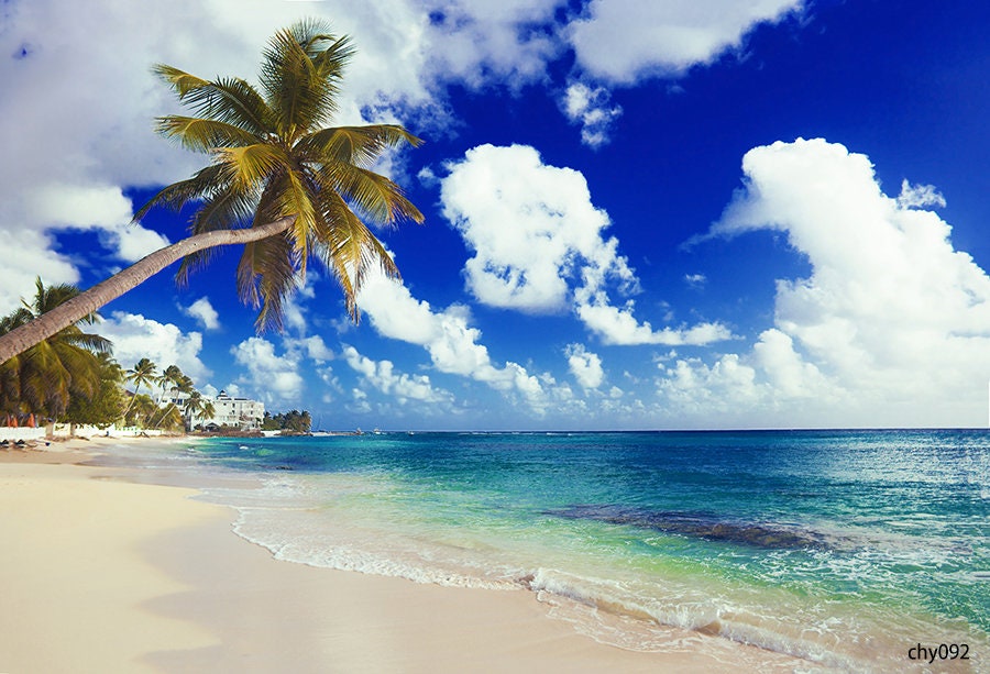 Romantic Summer Beach Scenery Backgroundbeach Palm Tree | Etsy