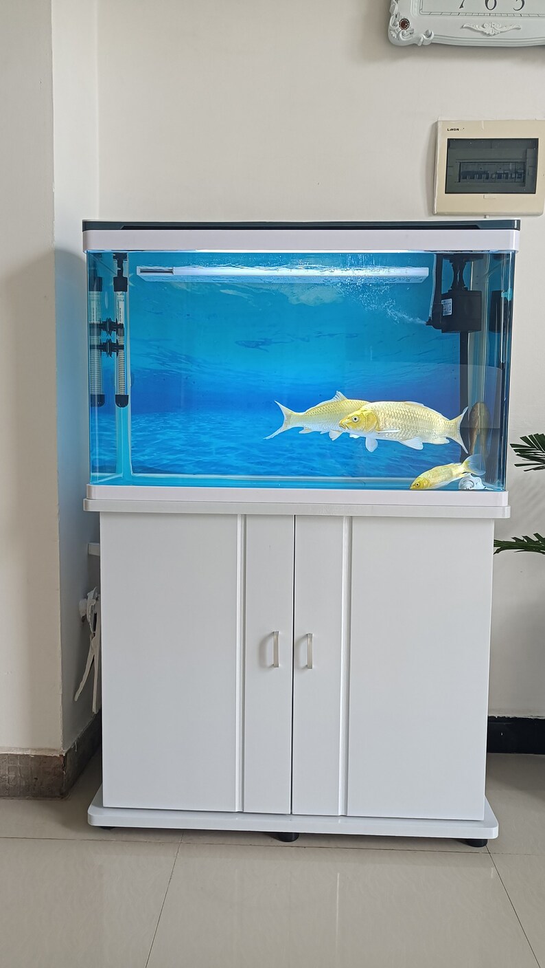 Custom Aquarium Background Fish Tank Decorations Pictures - Etsy