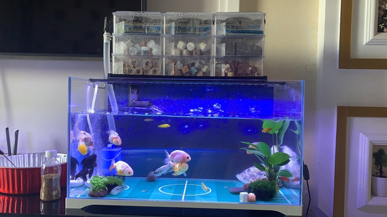 Custom Aquarium Background Fish Tank Decorations Pictures - Etsy