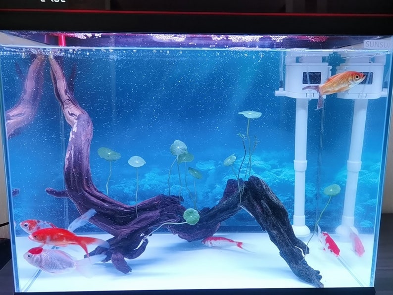 Custom Aquarium Background Wallpaper Picture Forest Trees - Etsy