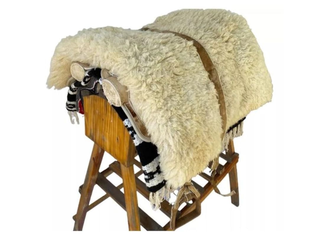 COMPLETE Handmade Traditional Argentine Gaucho Horse Saddle With ...