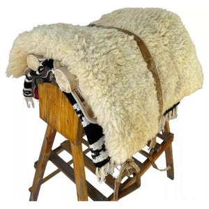 Handmade Argentine Gaucho Saddle Recado Criollo Traditional Horse ...