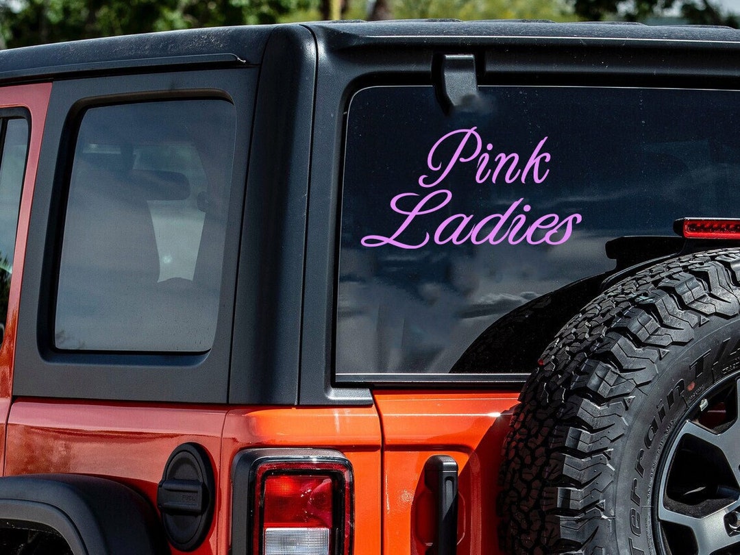 Pink Ladies Vinyl Cut Decal Sticker - Etsy