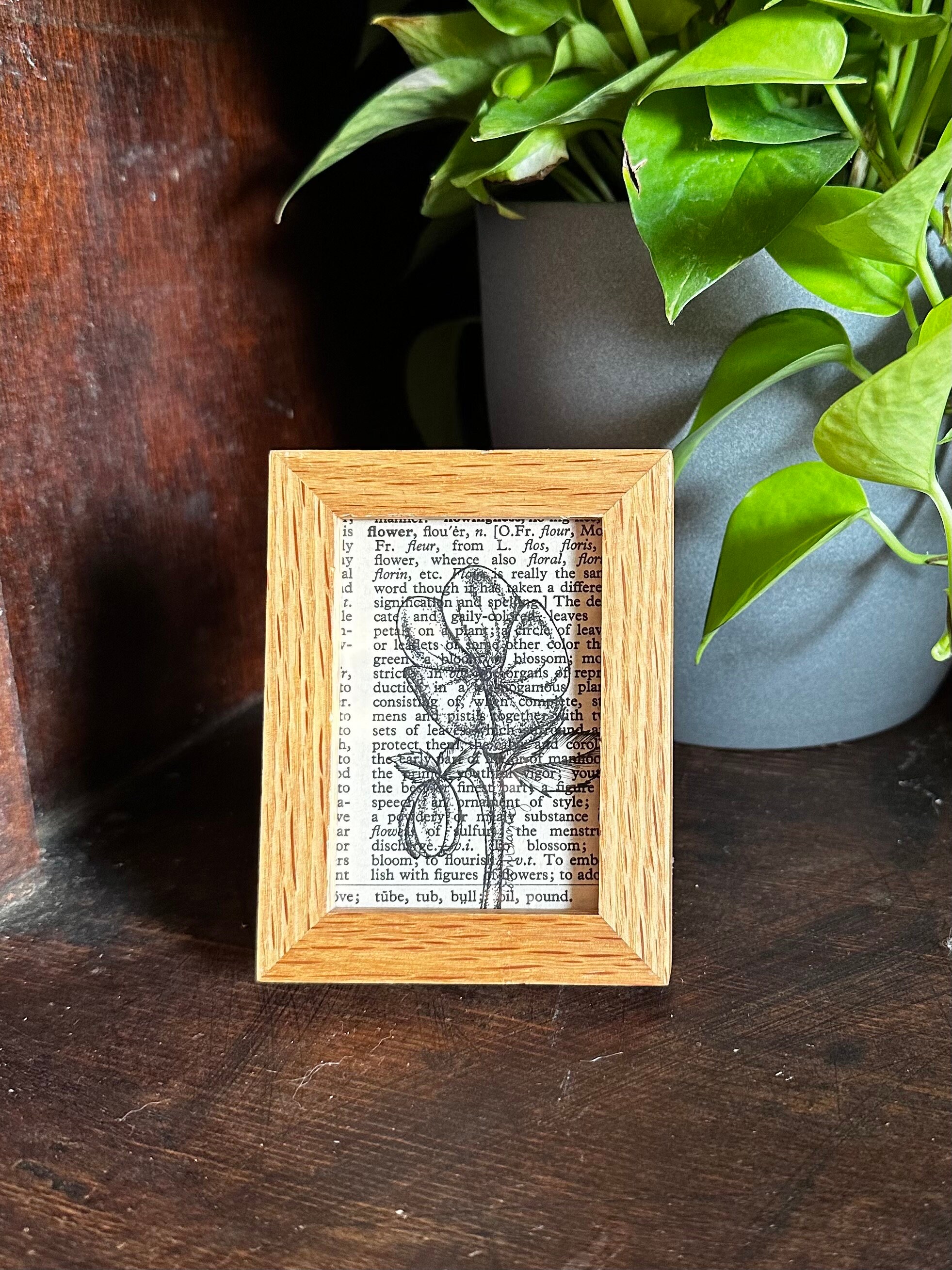 Small Flower Drawing: 2x3 Original Pen and Ink Drawings - Etsy