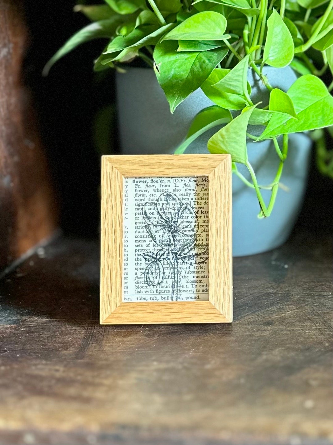 Small Flower Drawing: 2x3 Original Pen and Ink Drawings - Etsy