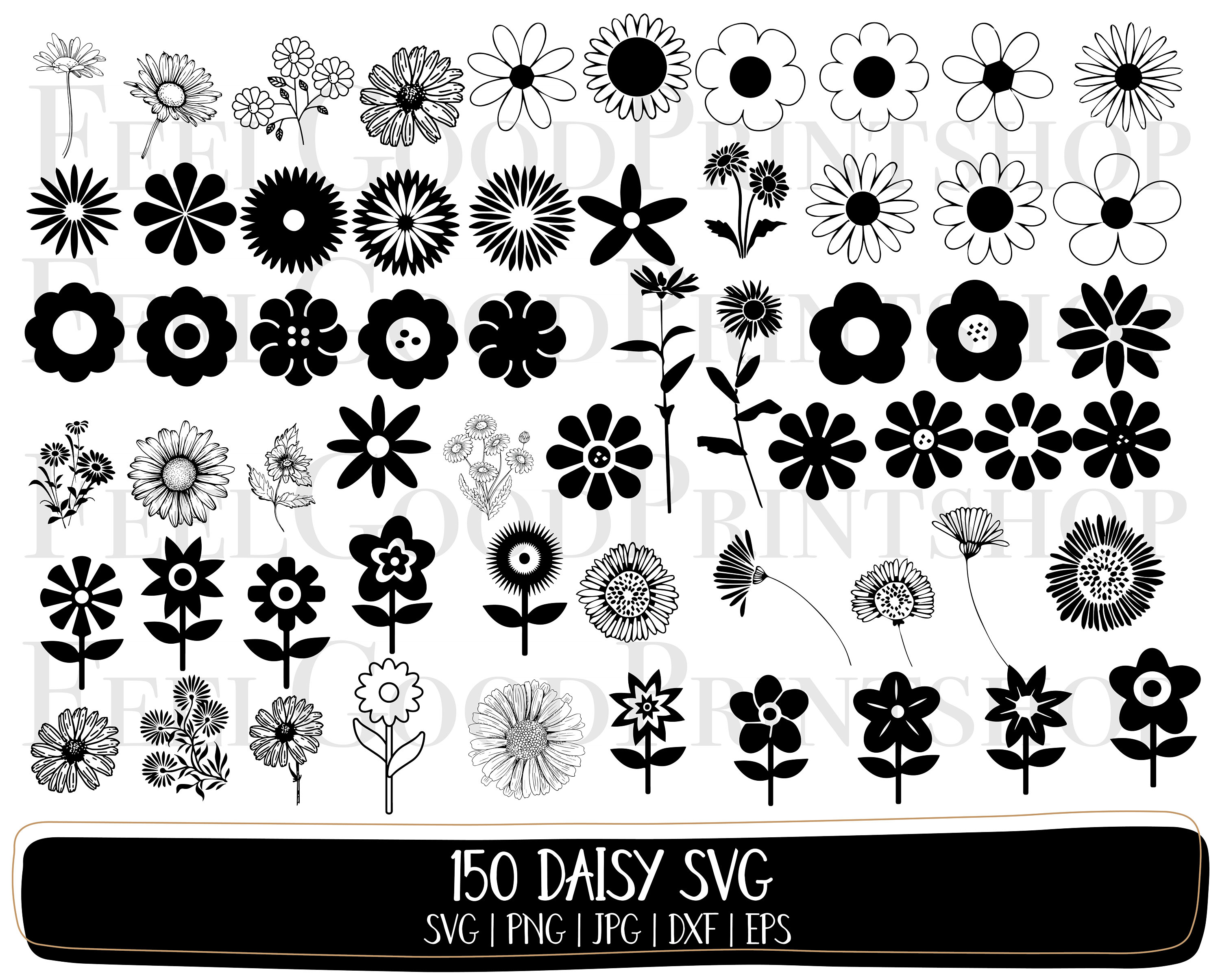 150 Daisy SVG Bundle Daisy Silhouette Daisy Cut File Daisy SVG | Etsy