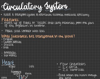 Gcse Biology Notes Circulatory System Etsy
