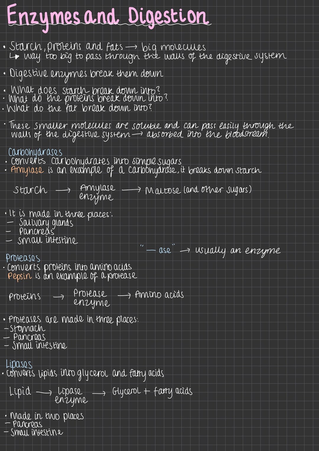 GCSE HIGHER BIOLOGY (aqa) : Revision Notes on Enzymes, Digestion, and ...