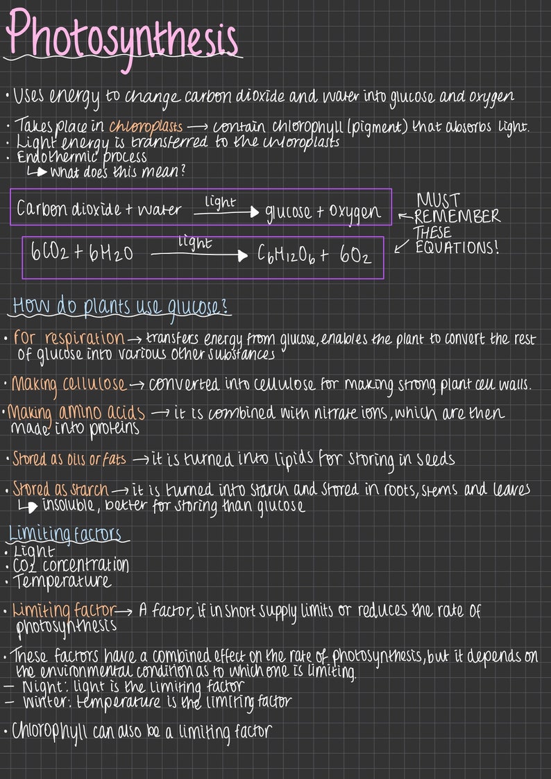 GCSE BIOLOGY NOTES : Photosynthesis Revision Notes - Etsy
