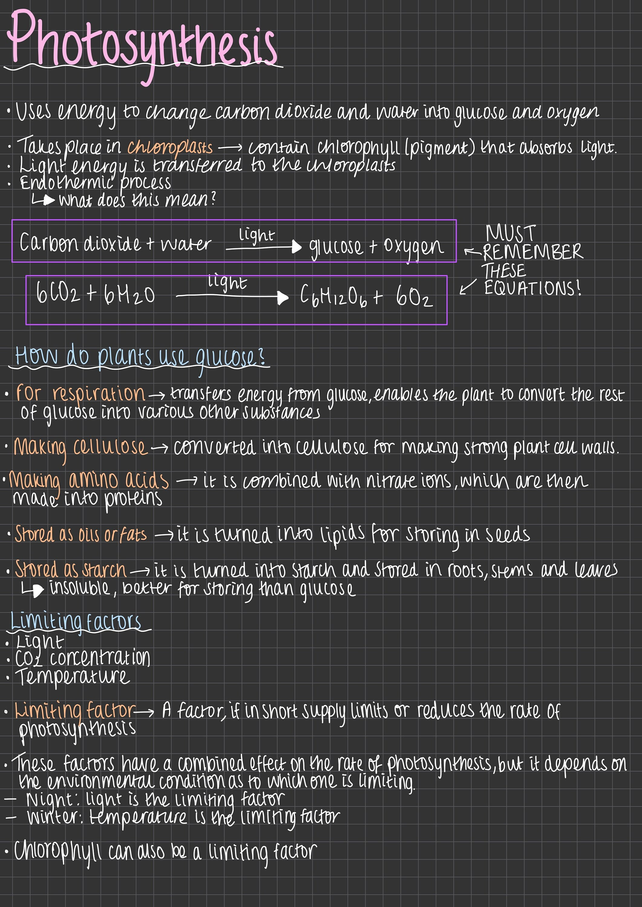 GCSE BIOLOGY NOTES : Photosynthesis Revision Notes - Etsy