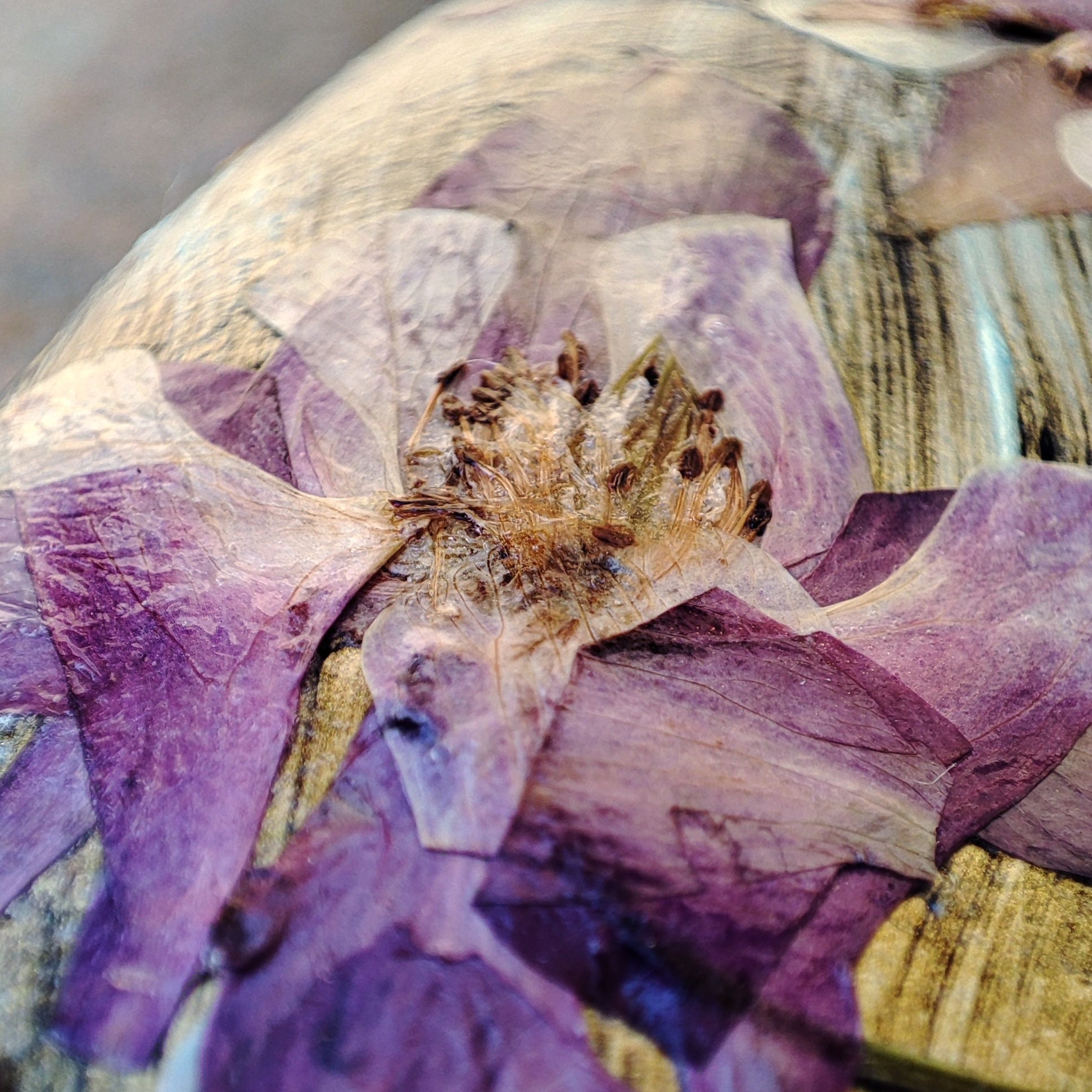 Pressed Flower Rock Paperweights. Home Decor. Herbarium Ornaments - Etsy