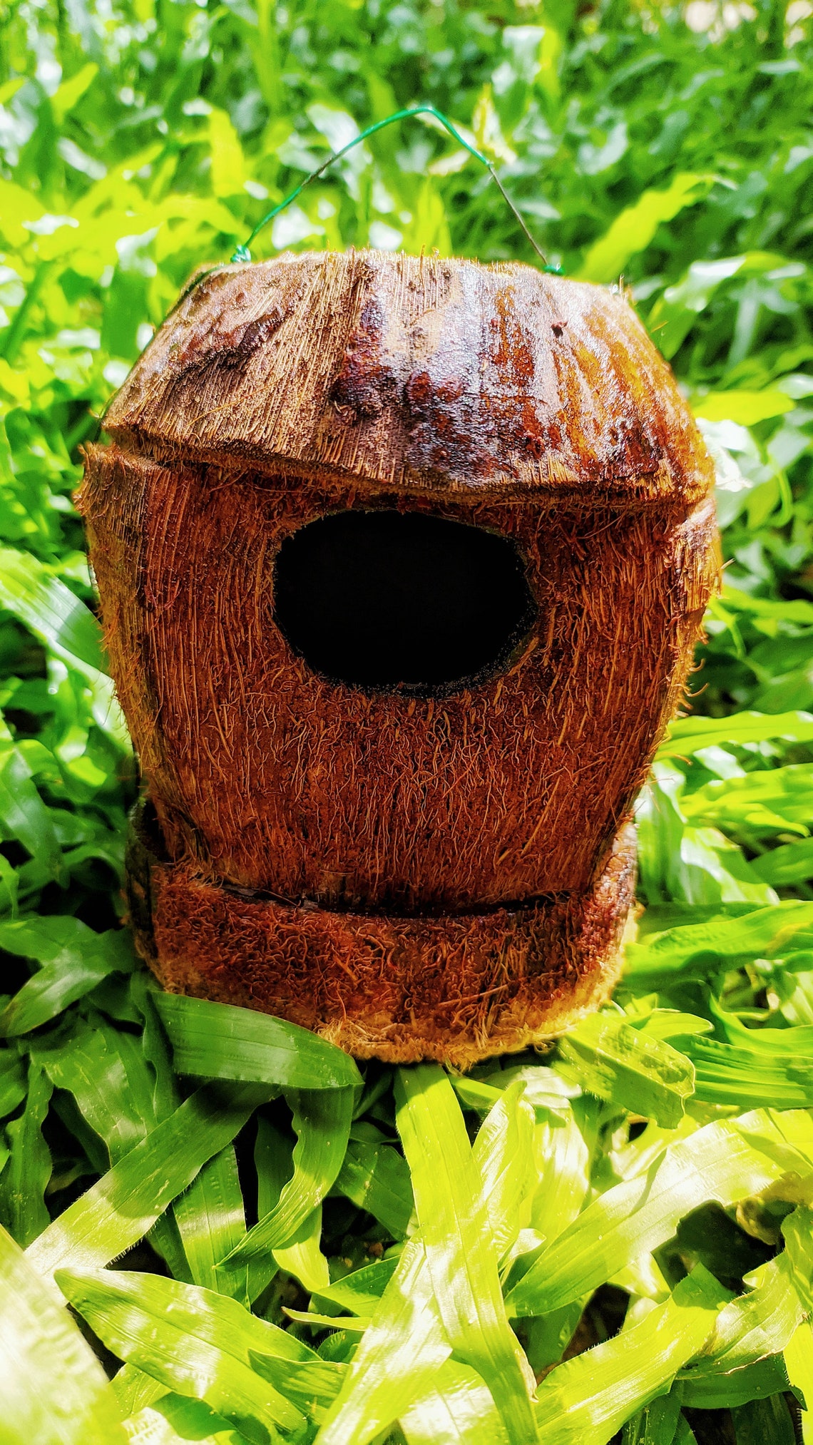 Coconut Bird Nest Birdhouse Handmade - Etsy