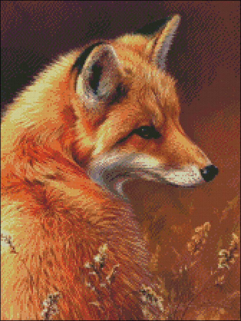 CA168224001 Red Fox C Counted Cross Stitch Patterns - Etsy