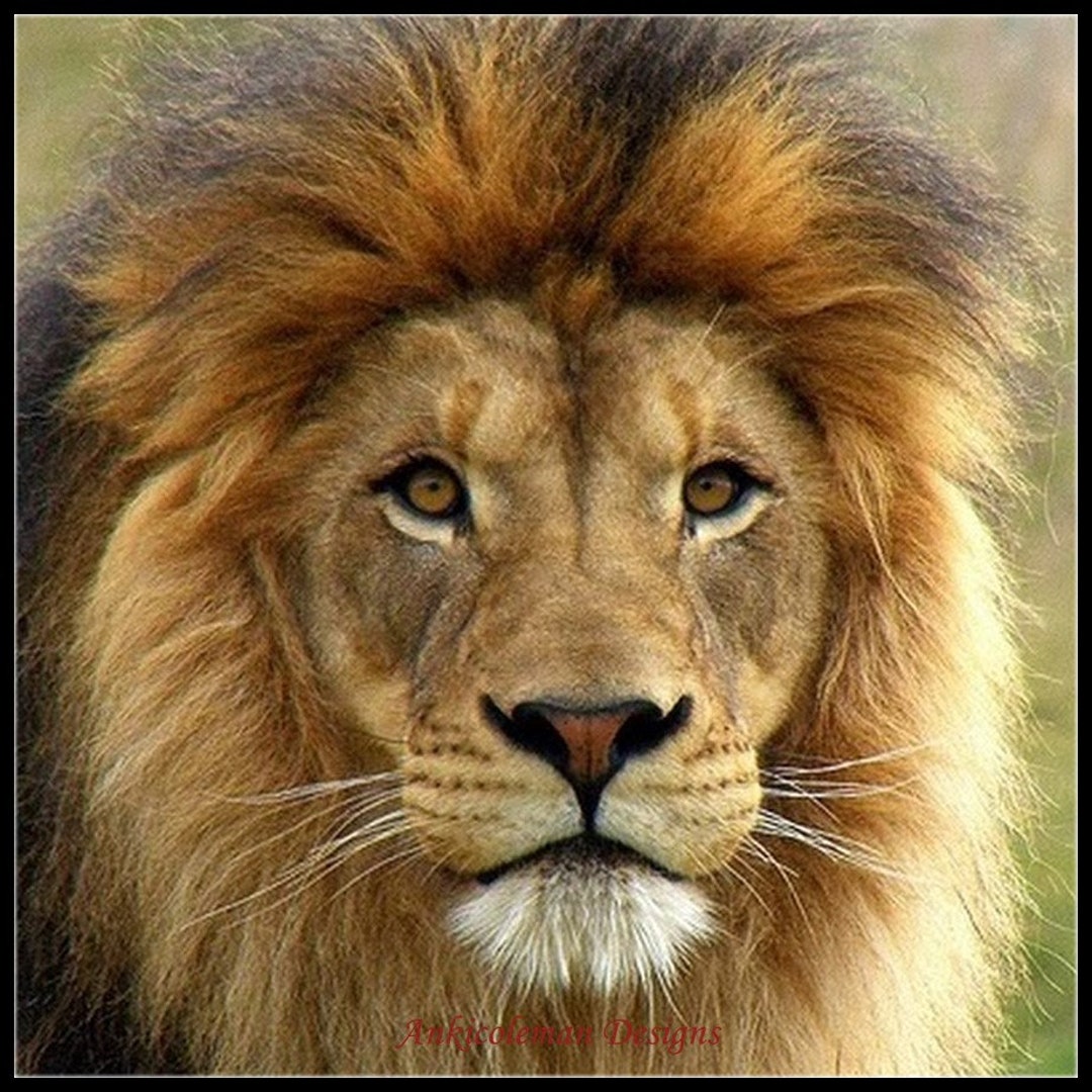 CA168168003 - Portrait of Lion - Counted Cross Stitch Patterns ...