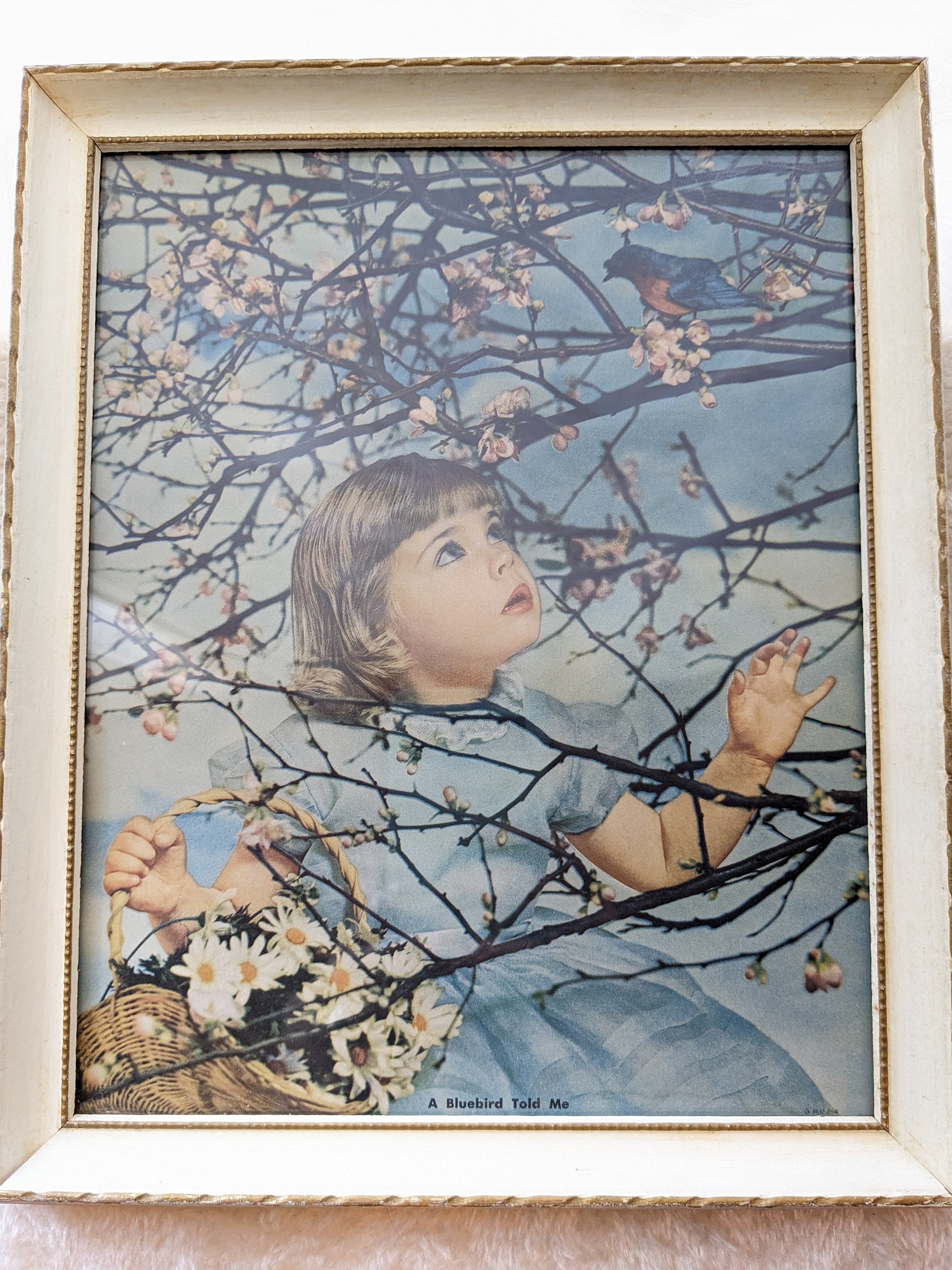 A Bluebird Told Me. 1960s Mid Century Print, Original Frame Girl ...