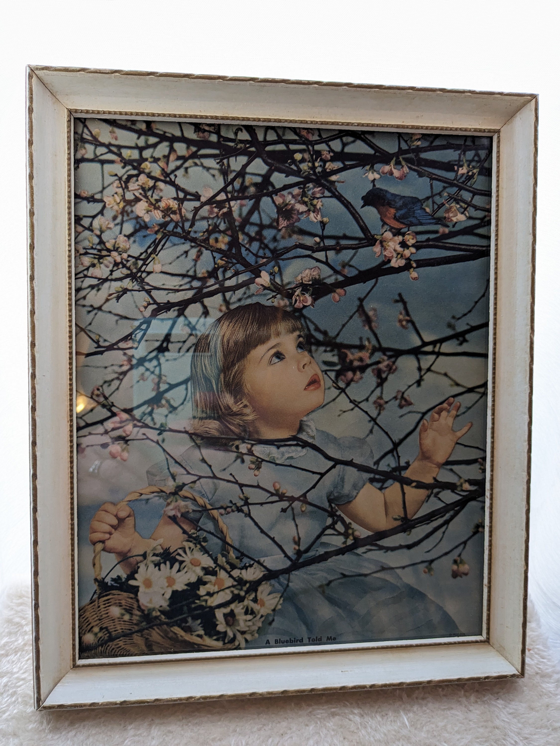 A Bluebird Told Me. 1960s Mid Century Print, Original Frame Girl ...