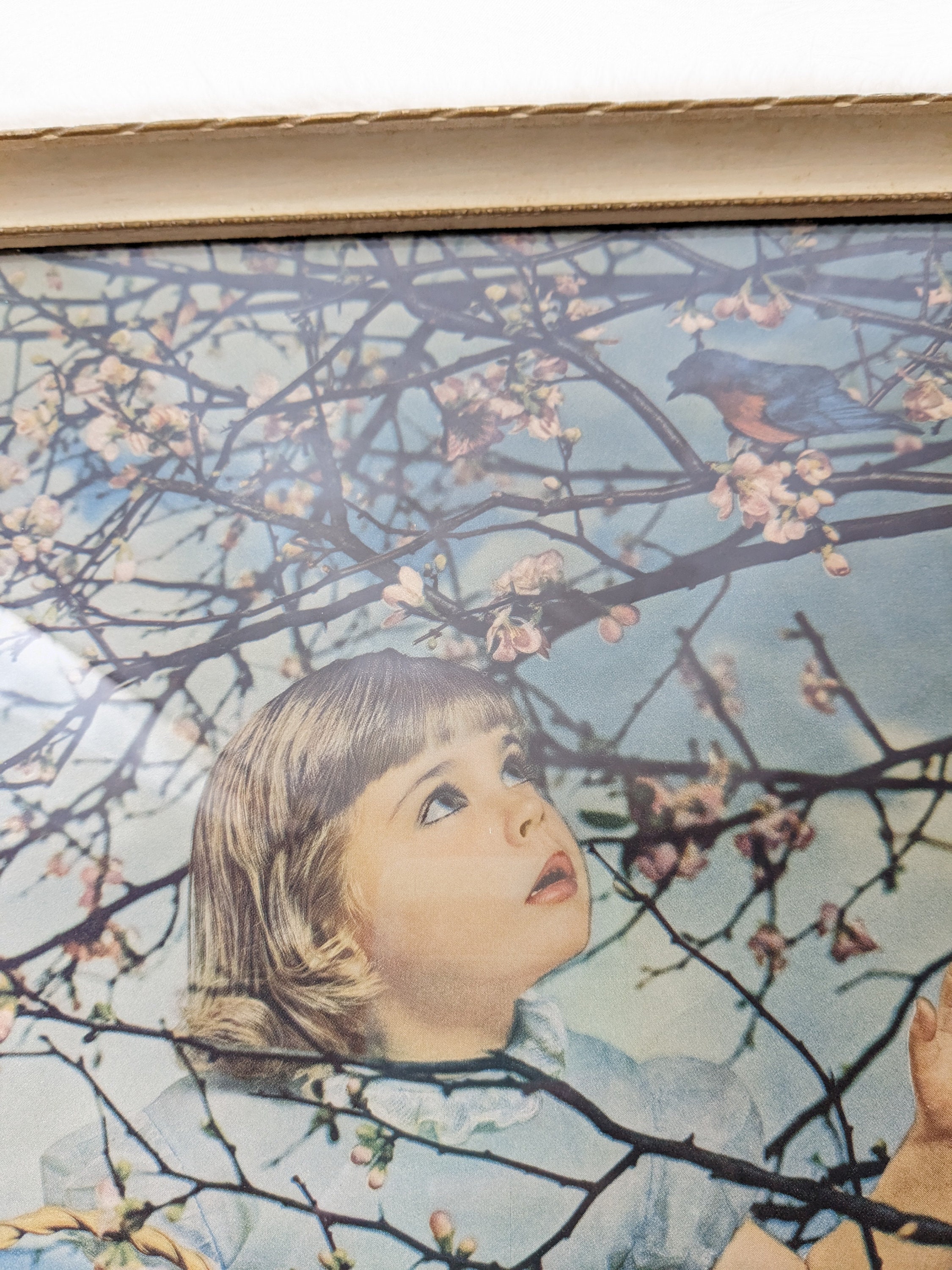A Bluebird Told Me. 1960s Mid Century Print, Original Frame Girl ...