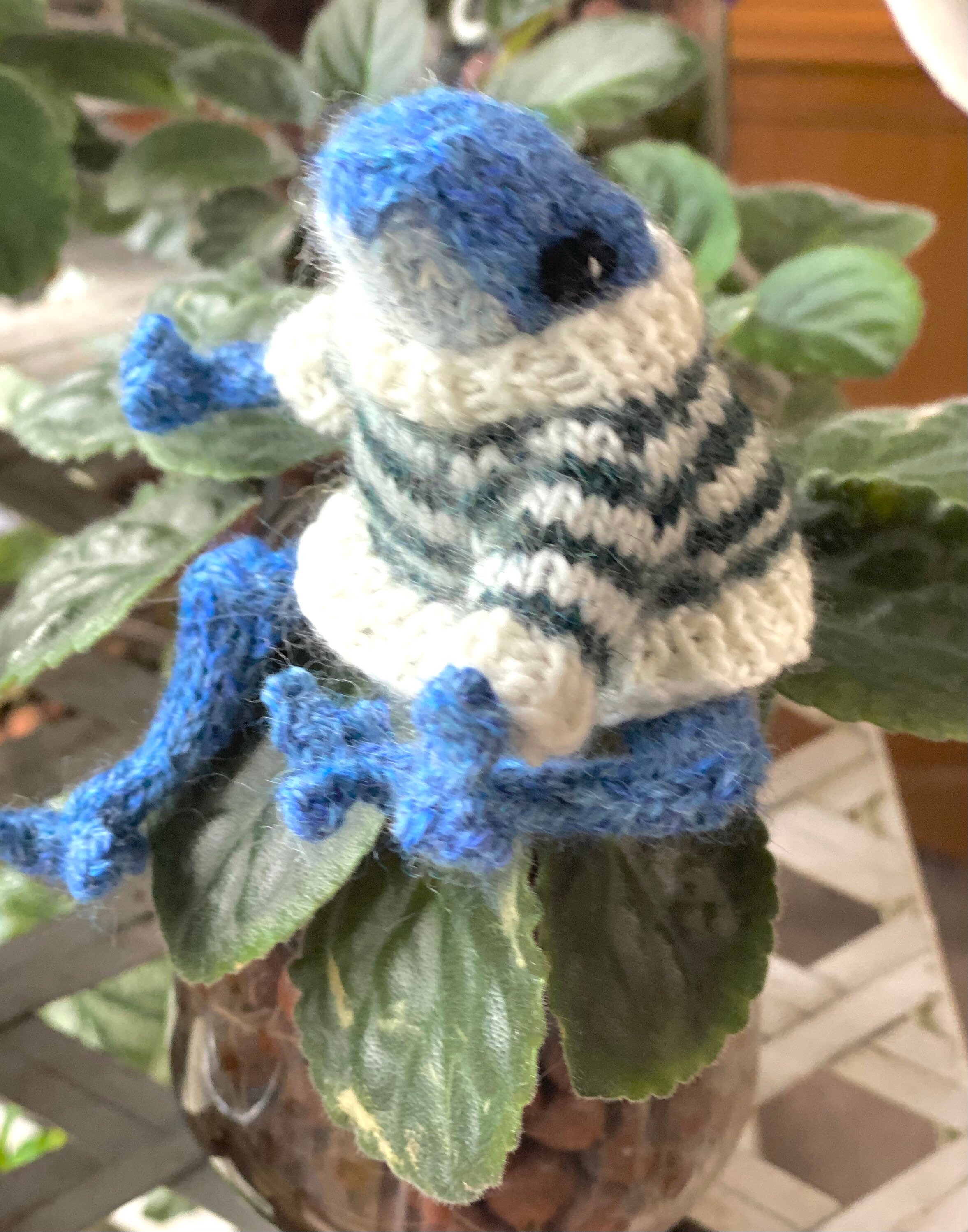 Custom Order Tiny Knit Frogs With Sweaters - Etsy