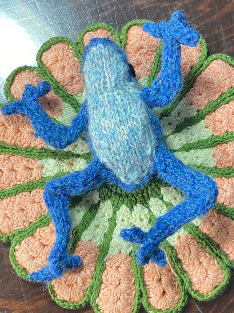 Custom Order Tiny Knit Frogs With Sweaters - Etsy