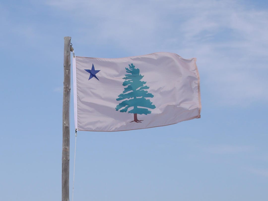 1901 Original Maine Flag - Etsy