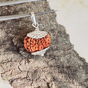 Rudraksha Necklace-five Faced Rudra Necklace-925 Sterling Silver-shiva ...