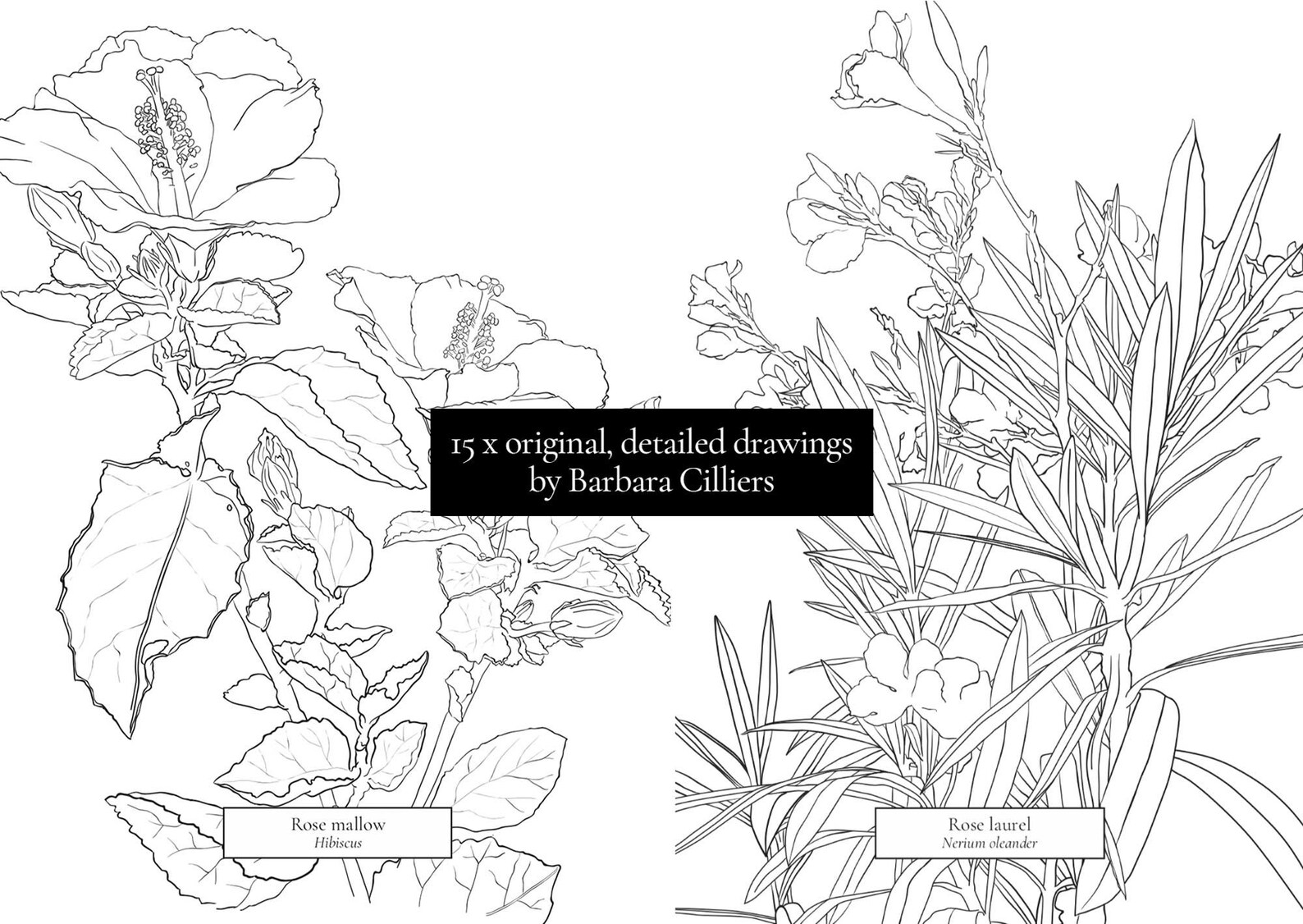 Botanical Colouring Book Sustainable Environmentally - Etsy