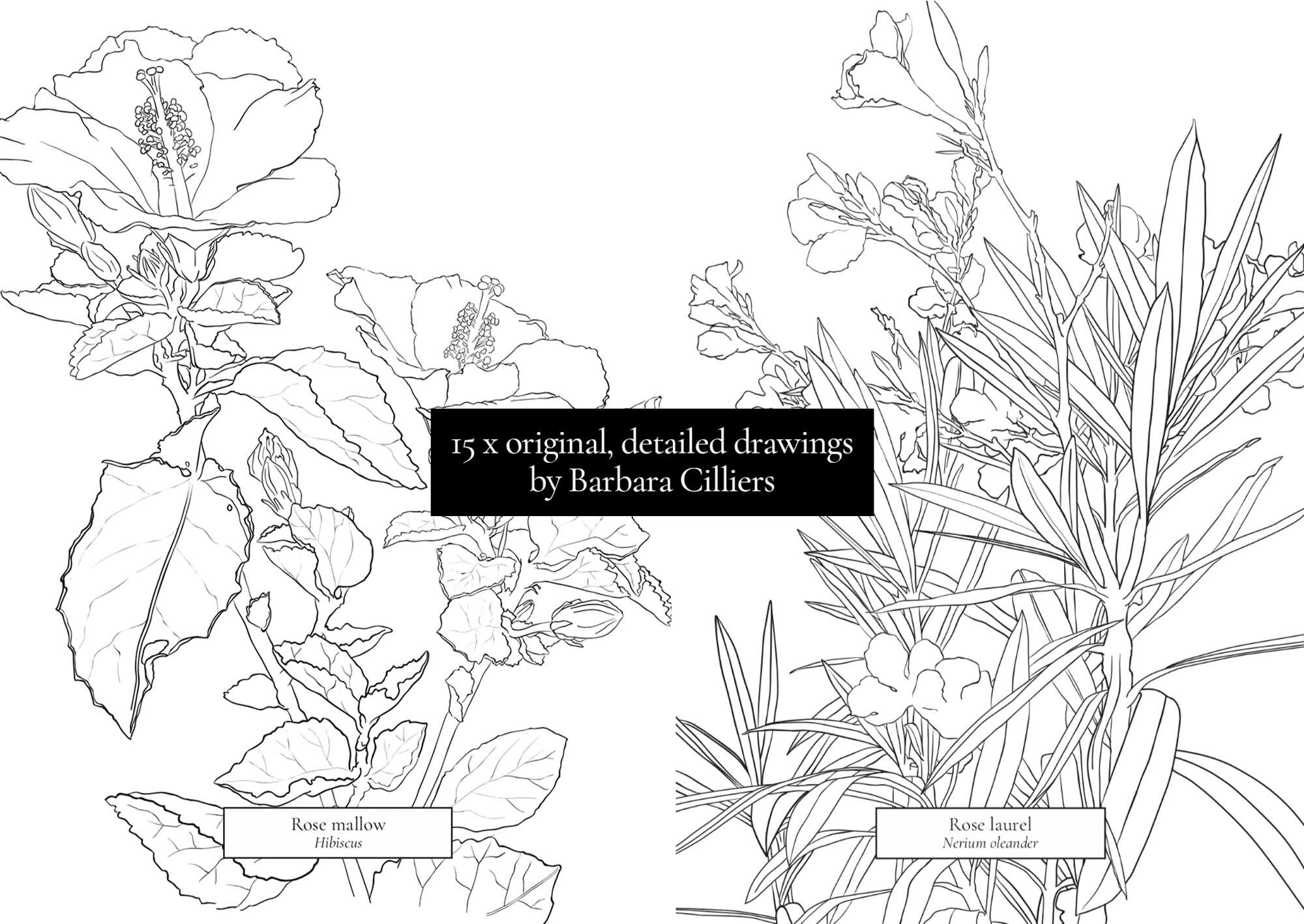 Botanical Colouring Book Sustainable Environmentally - Etsy