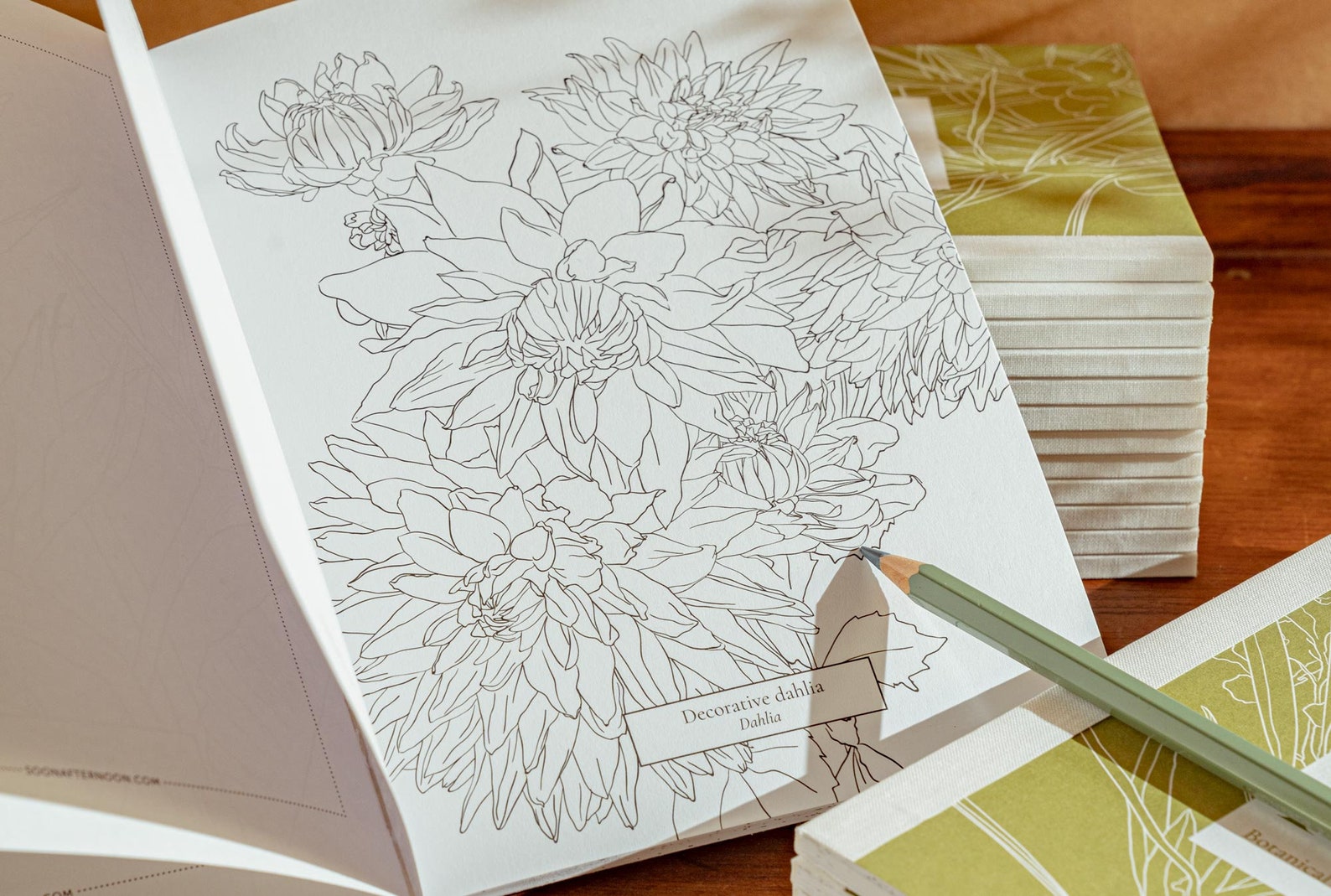 Botanical Colouring Book Sustainable Environmentally | Etsy