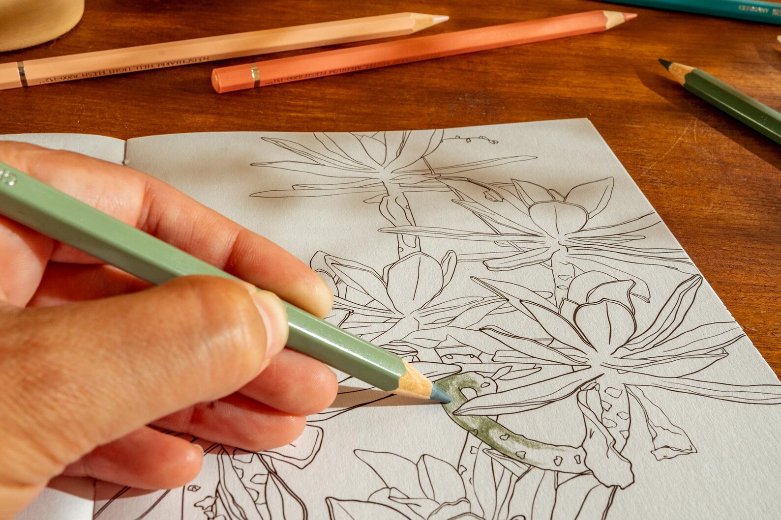 Botanical Colouring Book Sustainable Environmentally | Etsy