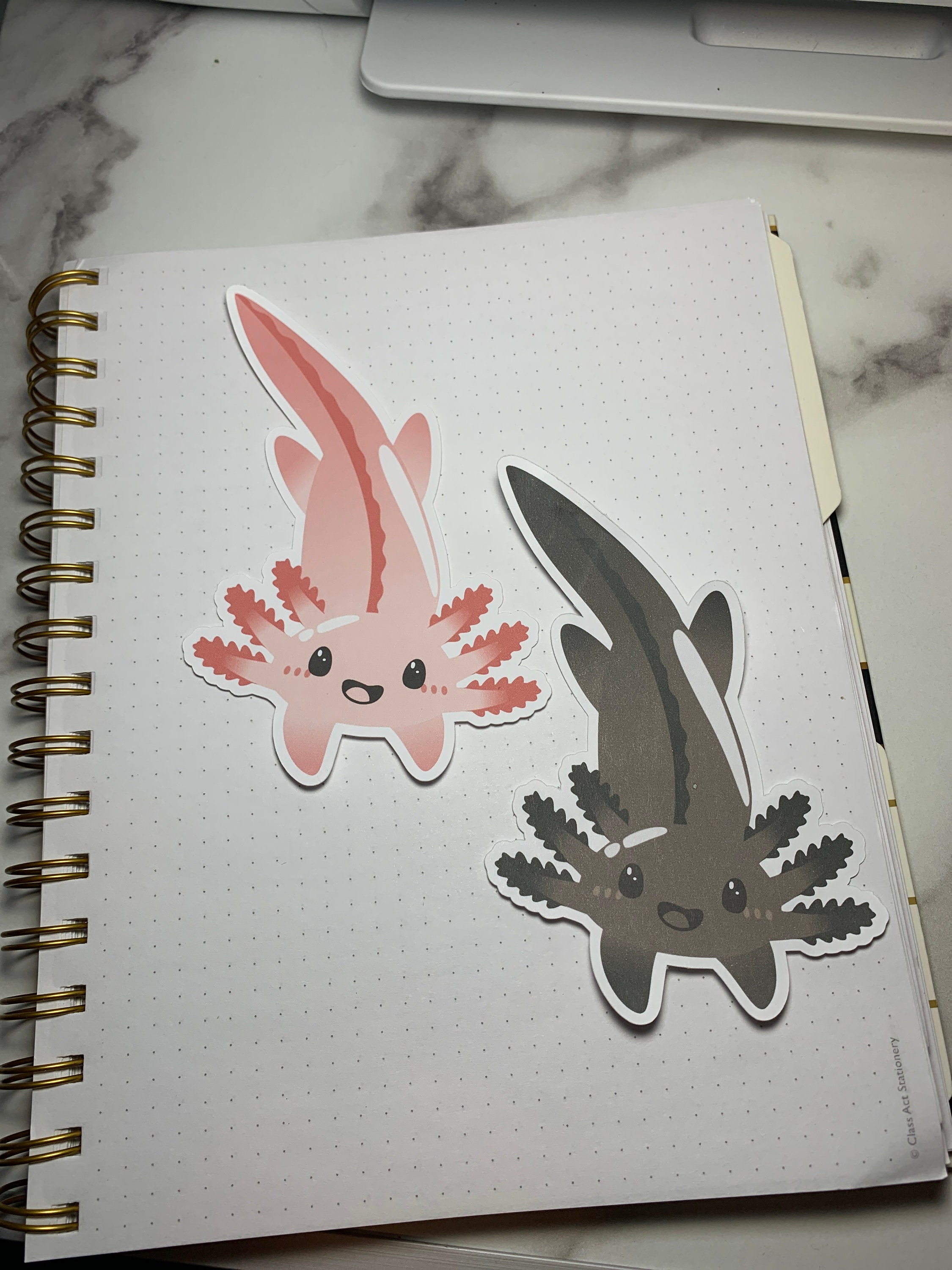 Large Cute Axolotl Sticker Matte Sticker Pink and Black - Etsy Denmark