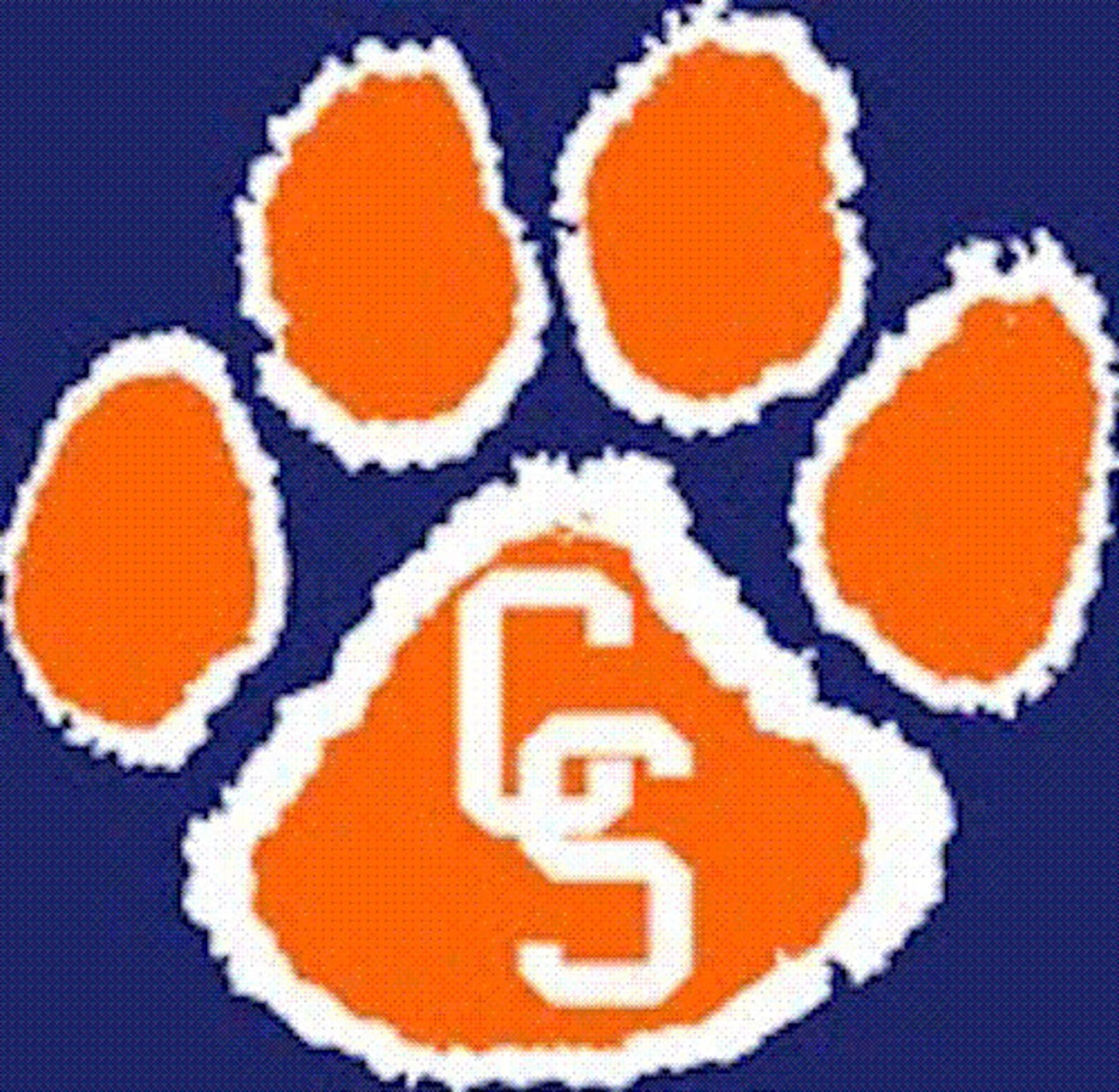 Cedar Shoals High School Custom Mini Riddell Football Helmet | Etsy