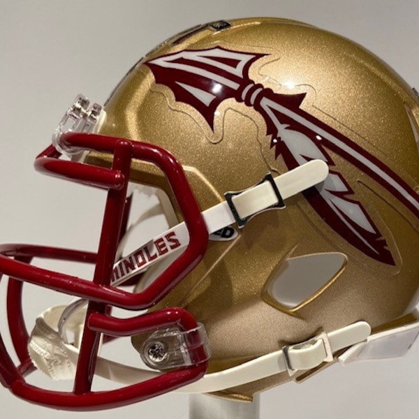 Florida State University - Etsy