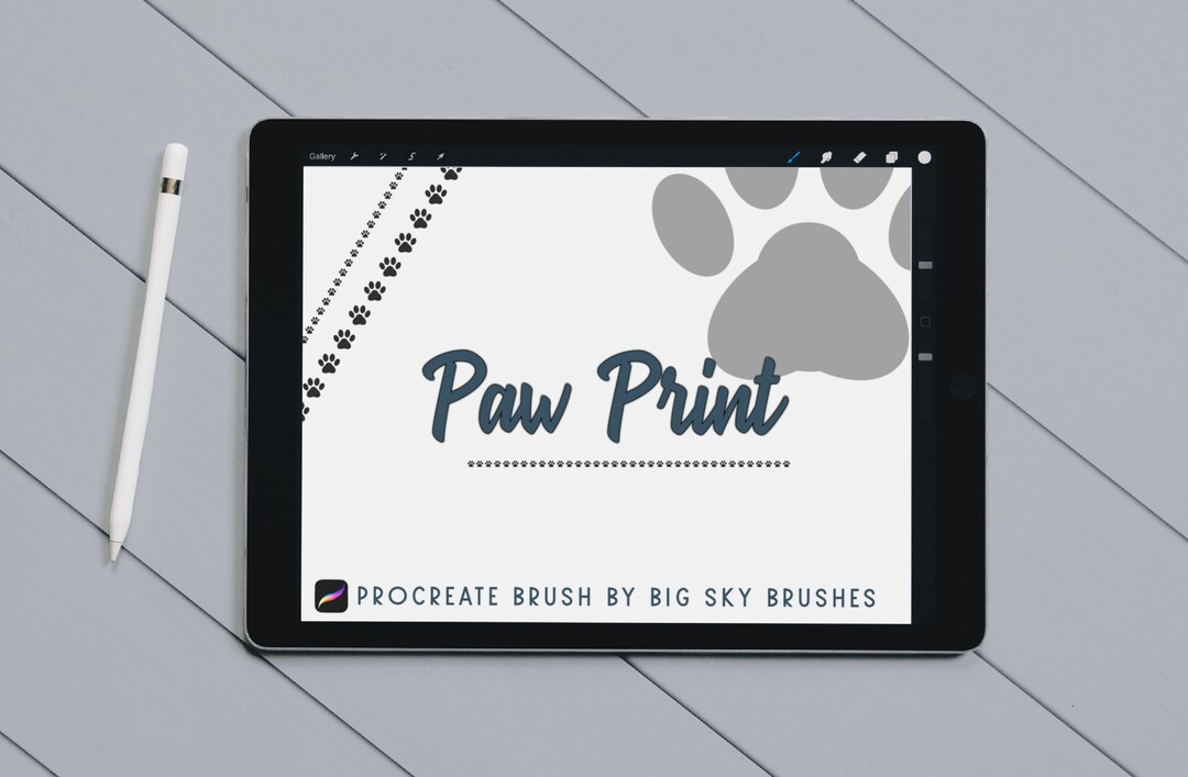Paw Print Procreate Brush | Digital Drawing Brush, Stamp, Hand Lettering, Calligraphy - Etsy