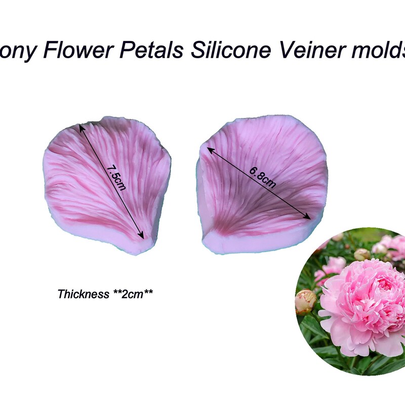 Silicone Flower Mold Veiner - Etsy